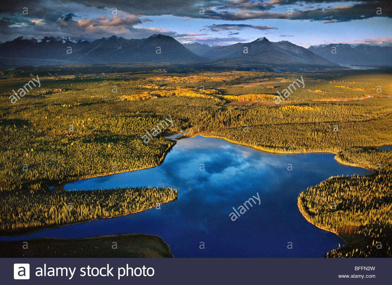 Muskeg Stock Photos & Muskeg Stock Images - Alamy