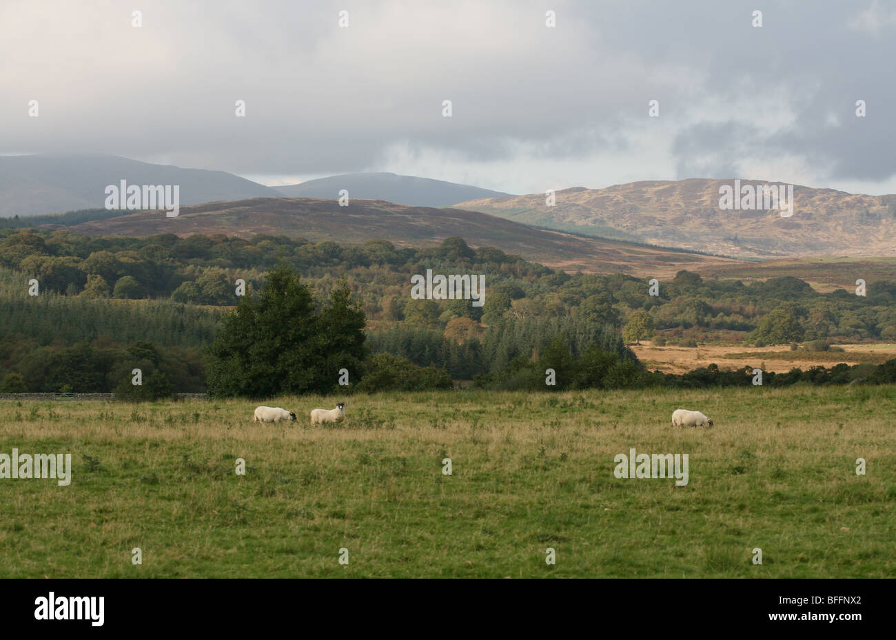 Galloway hills hi-res stock photography and images - Alamy