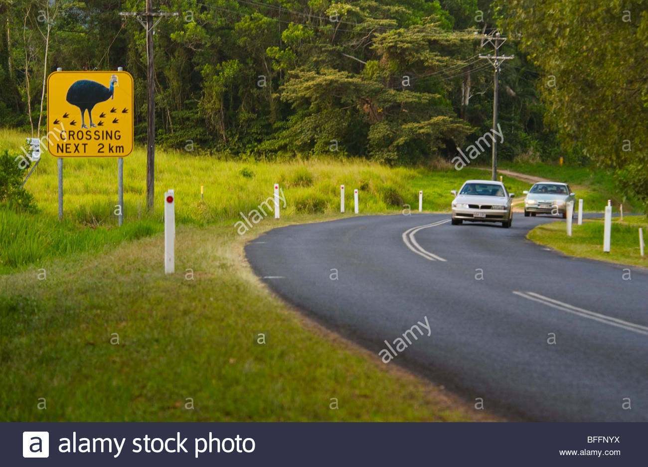 Wildlife Crossing Road Australia Stock Photos & Wildlife Crossing Road ...