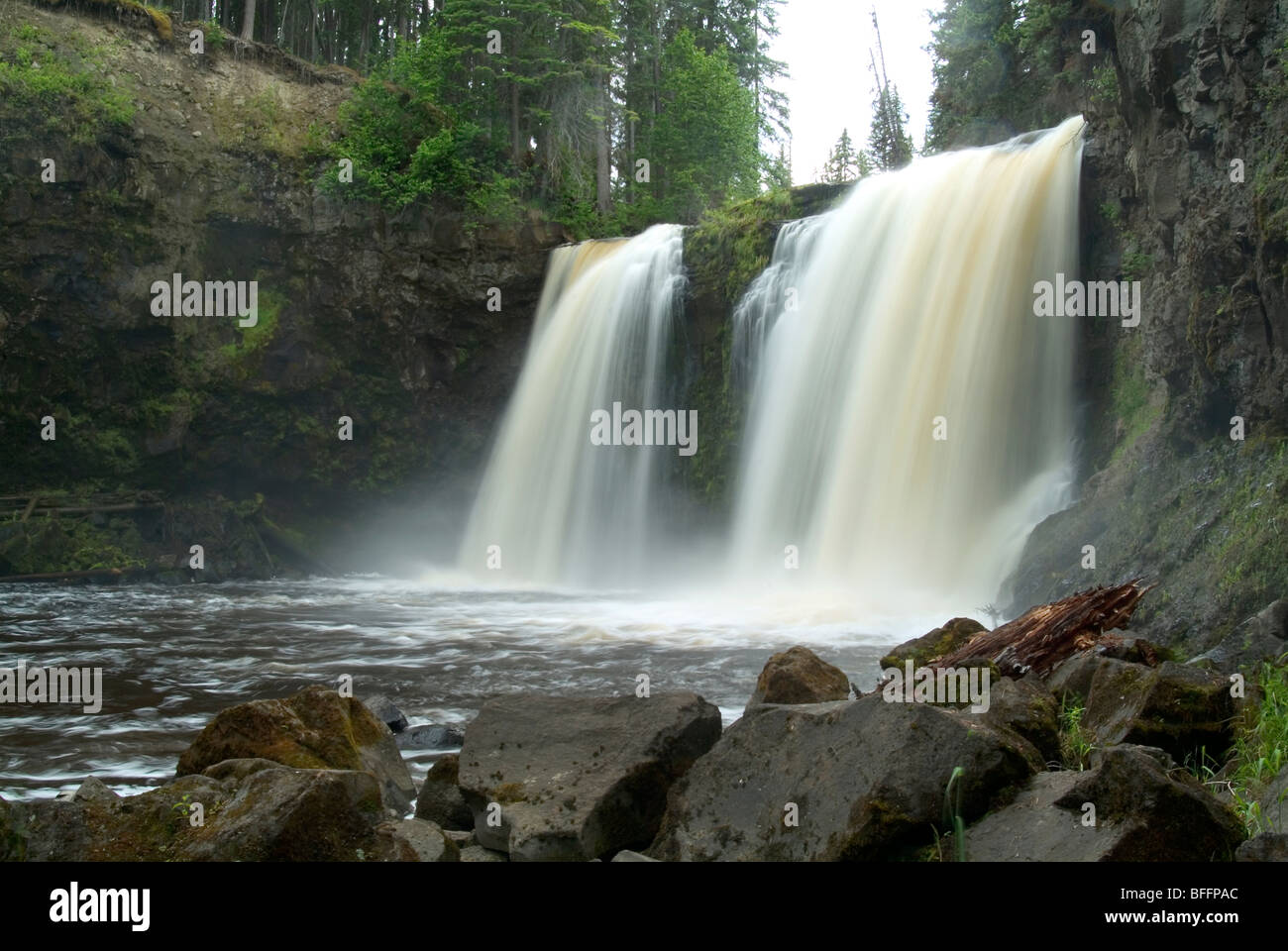 Cree williams hi-res stock photography and images - Alamy