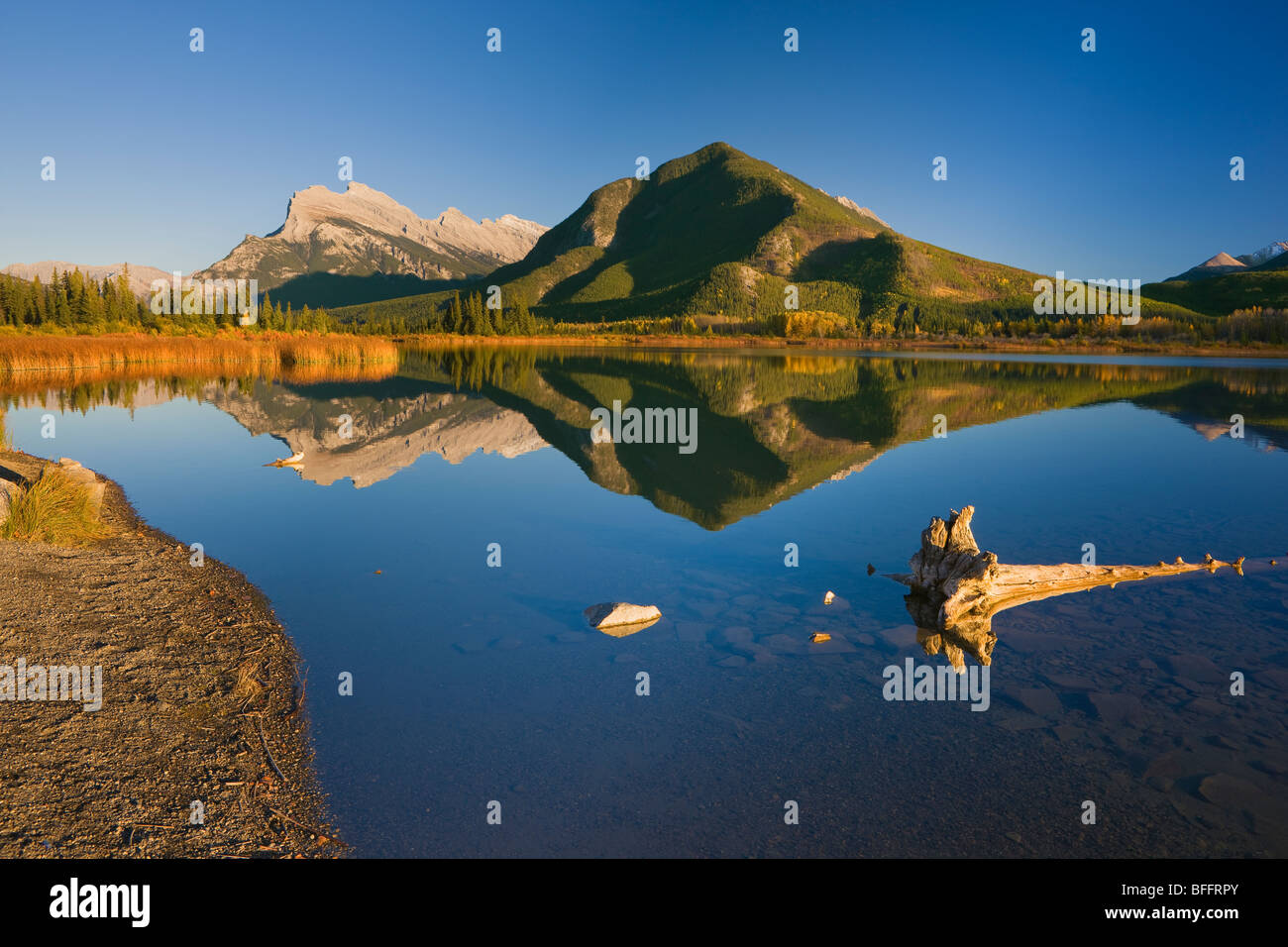 Banf national park hi-res stock photography and images - Alamy