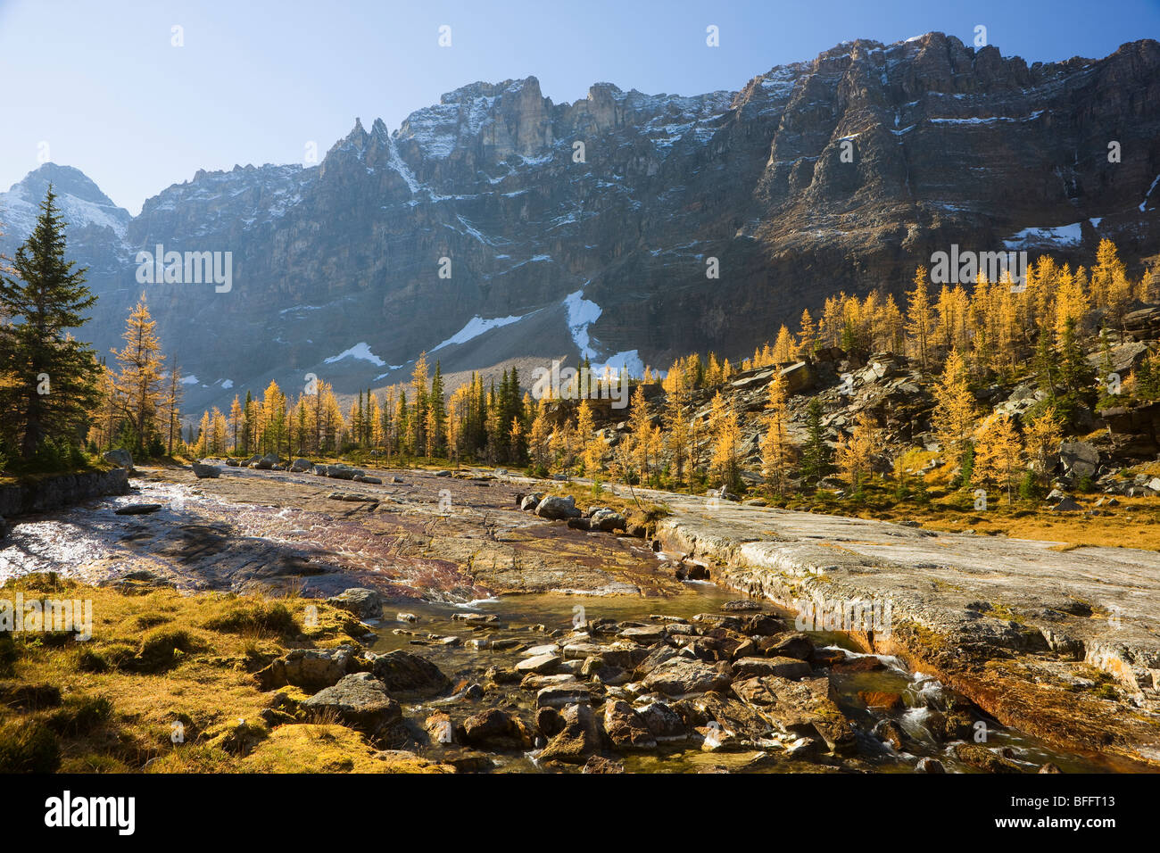 Opabin Plateau High Resolution Stock Photography and Images - Alamy