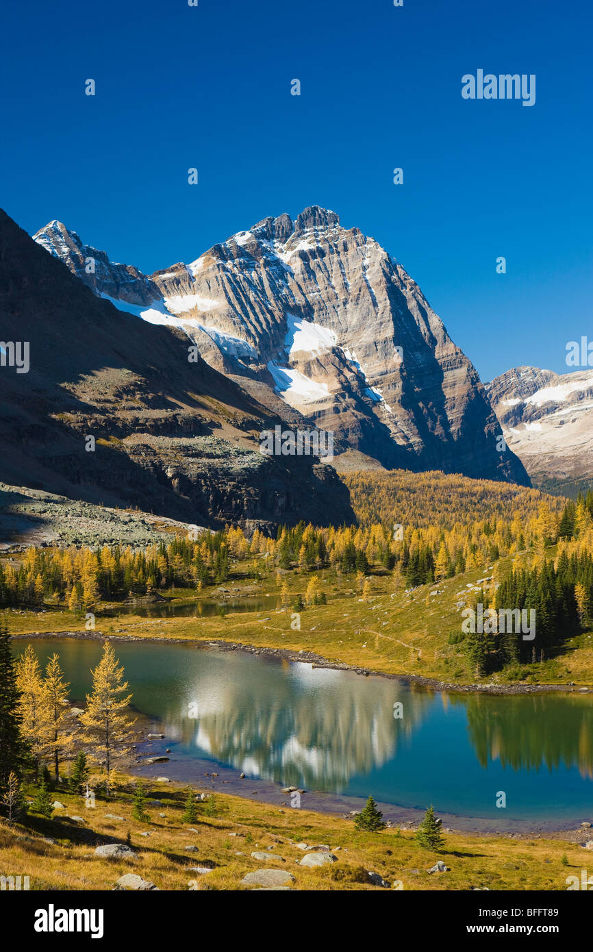 Opabin lakes hi-res stock photography and images - Alamy