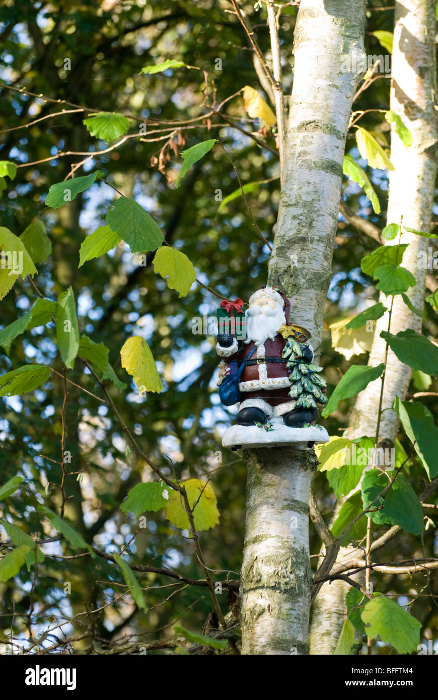 Suspended to a tree hi-res stock photography and images - Alamy