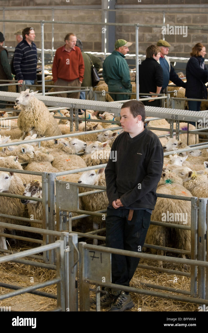 Stock farm farming agriculture farmer farmed hi-res stock photography ...