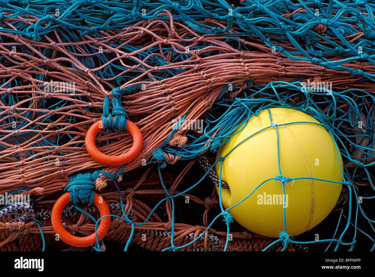 Fishing nets on dock at harbour in North Head, Grand Manan Island, New ...