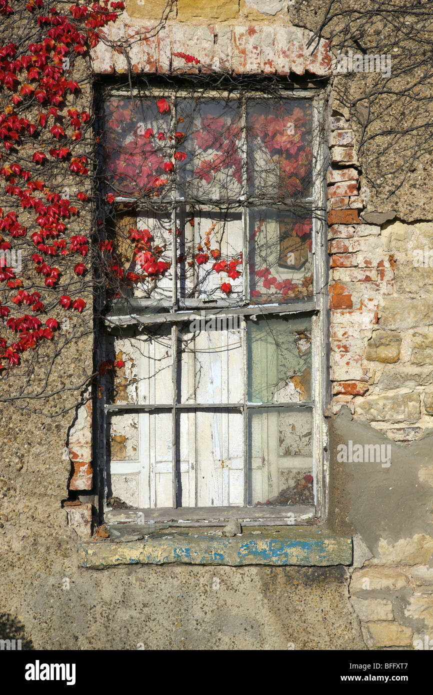 window of an old semi derelict farmhouse Stock Photo - Alamy