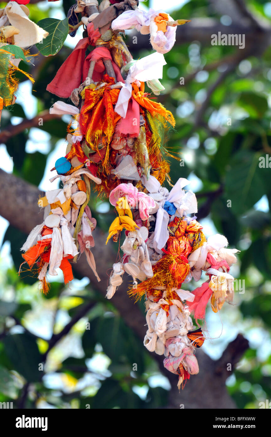 Offerings are made at Koneswaram temple, Swami Rock, Trincomalee, Sri ...