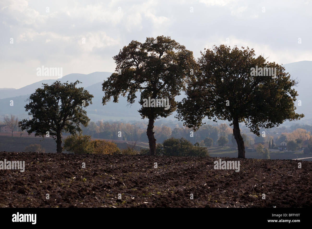 Landscape autumn trees fields hi-res stock photography and images - Alamy