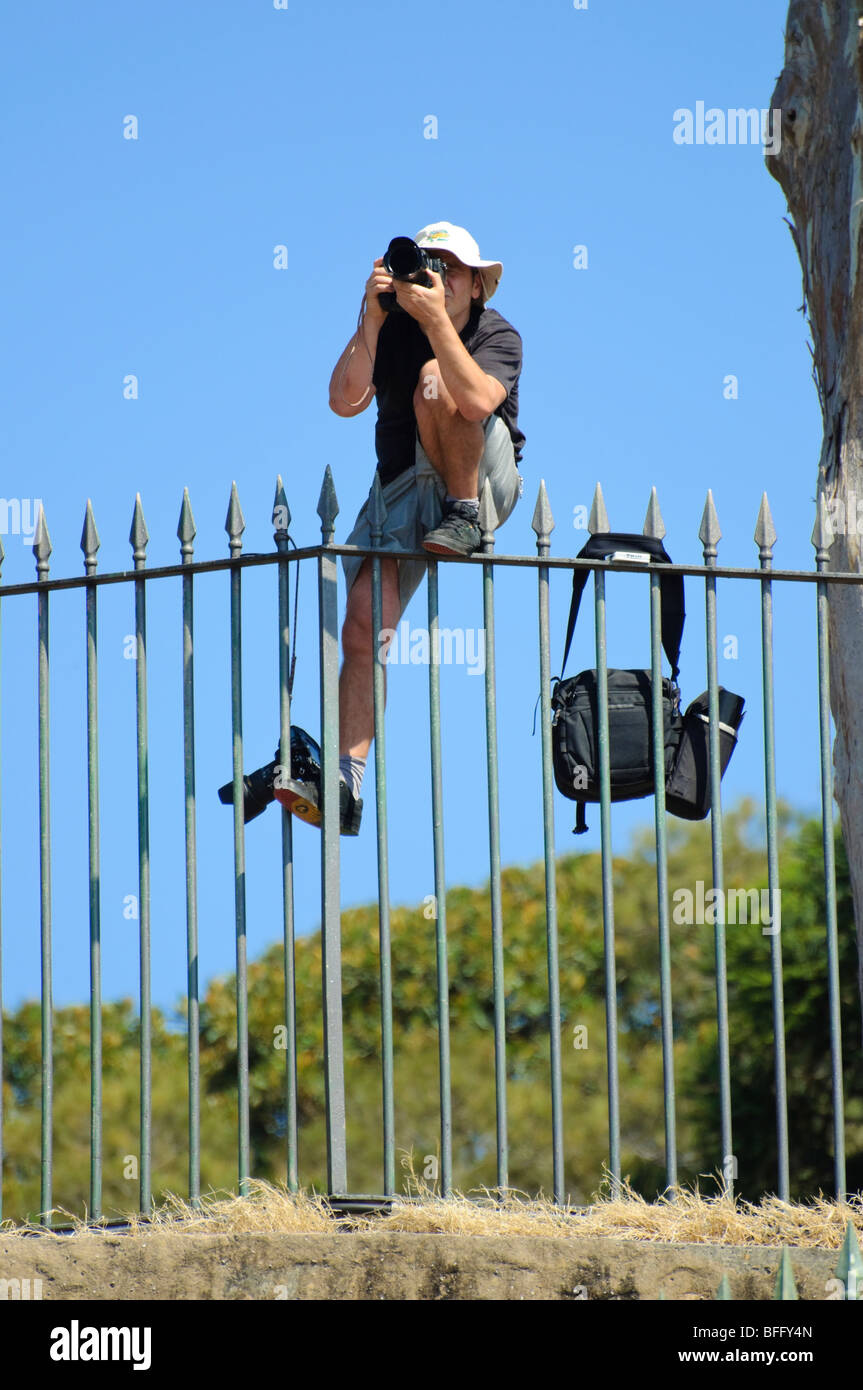 Professional photographers often take risks to get the best angle Stock ...