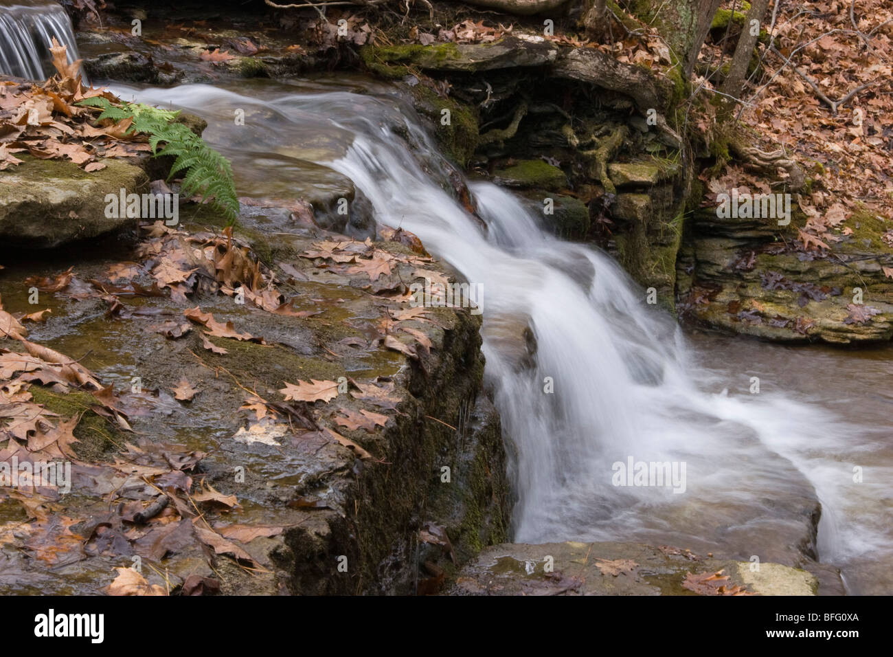 Thatcher Park High Resolution Stock Photography and Images - Alamy