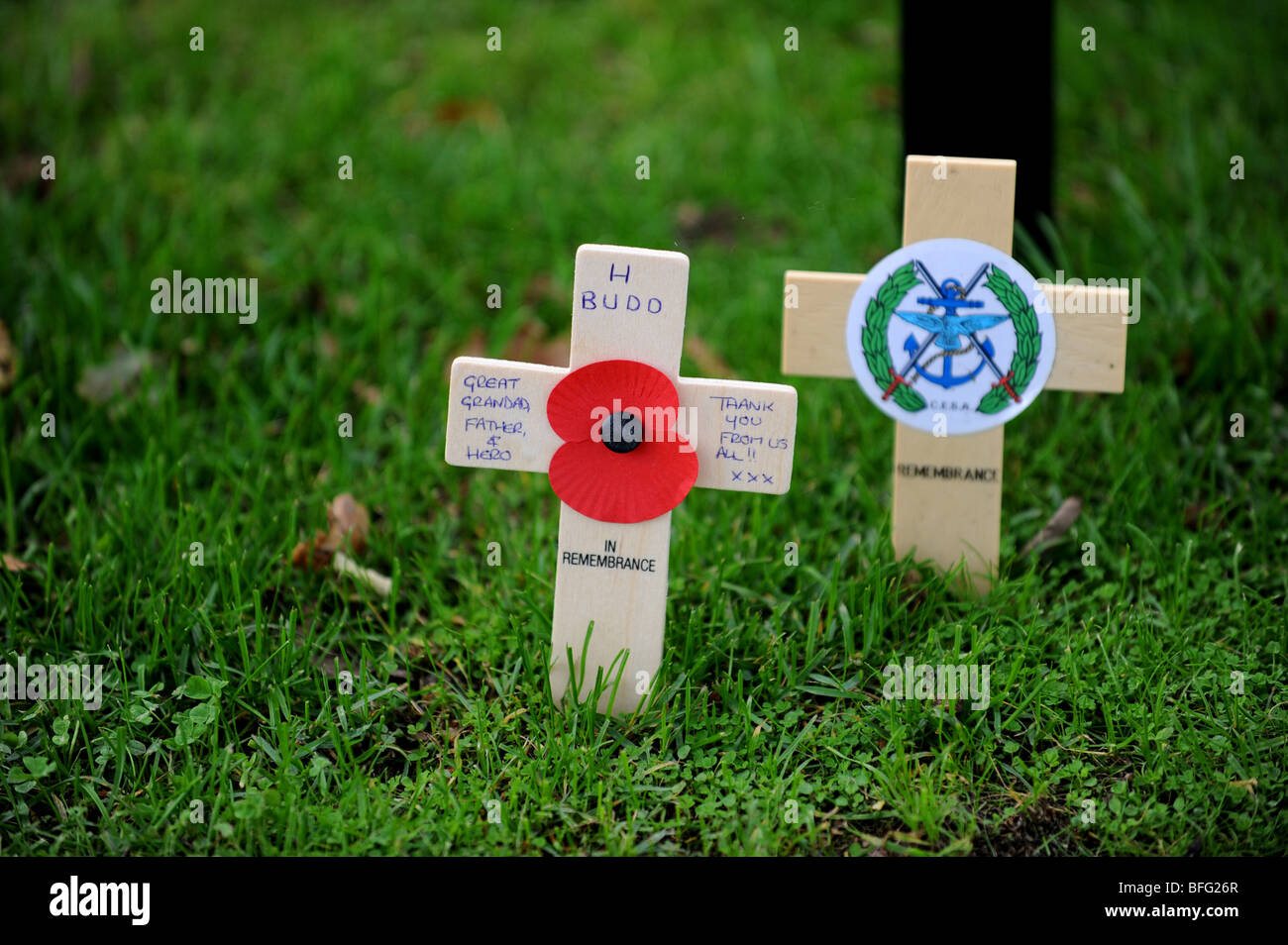 Cross with a poppy placed in remembrance of of those who lost their ...