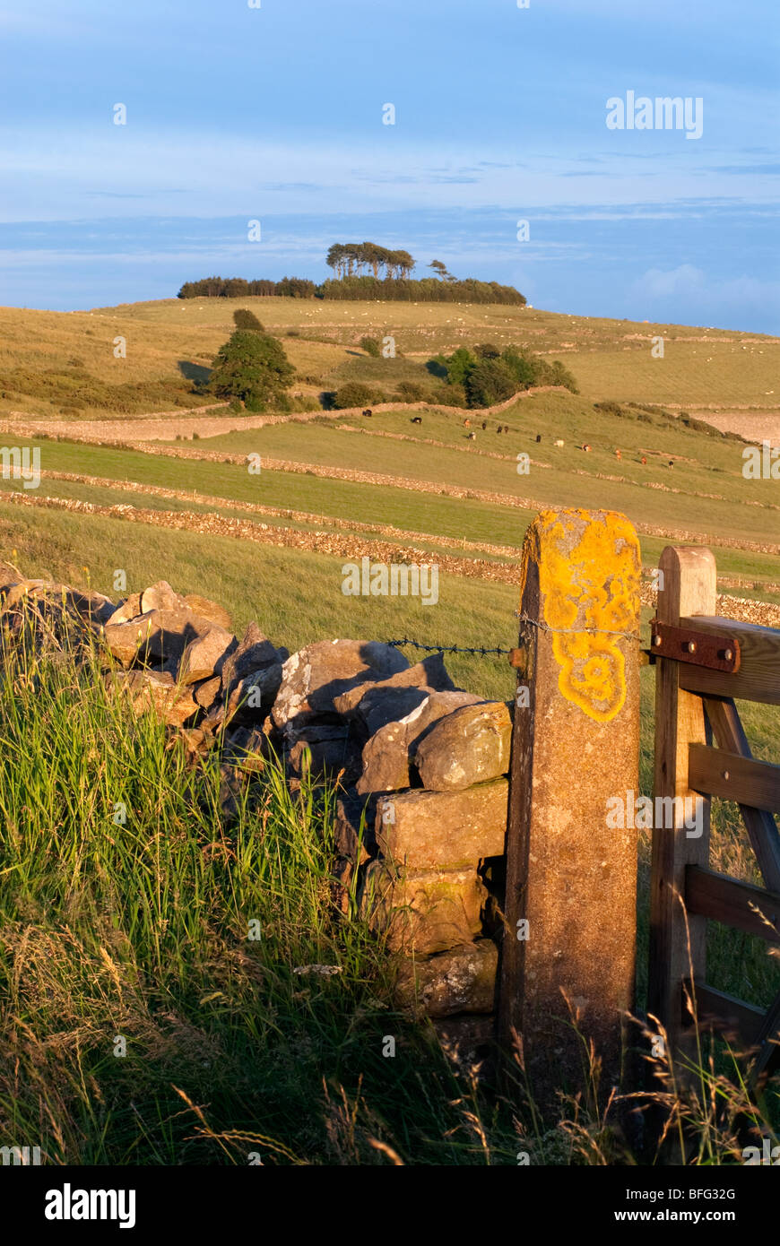 Minninglow peak district hi-res stock photography and images - Alamy