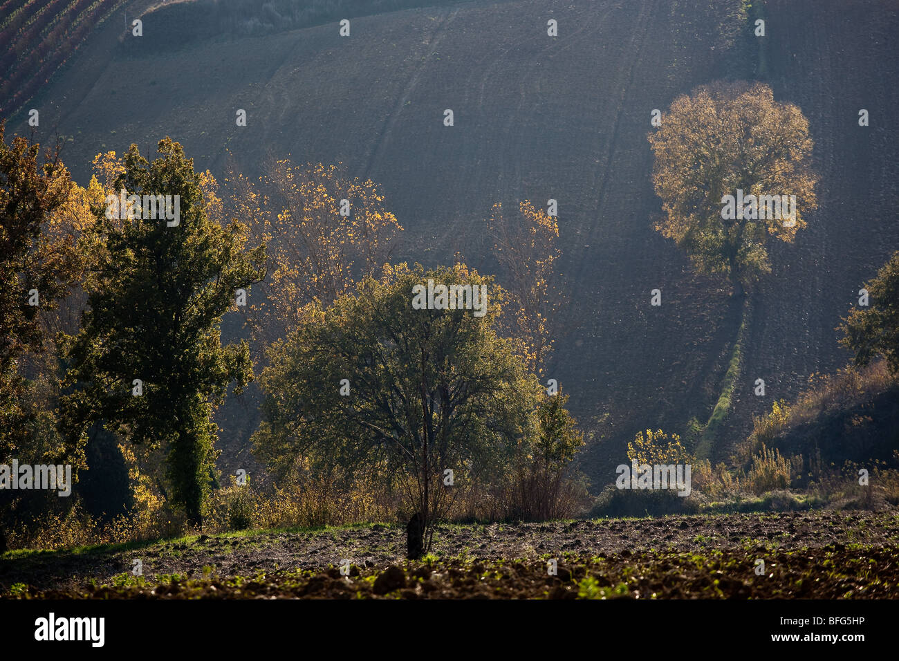 Fall fields hi-res stock photography and images - Alamy