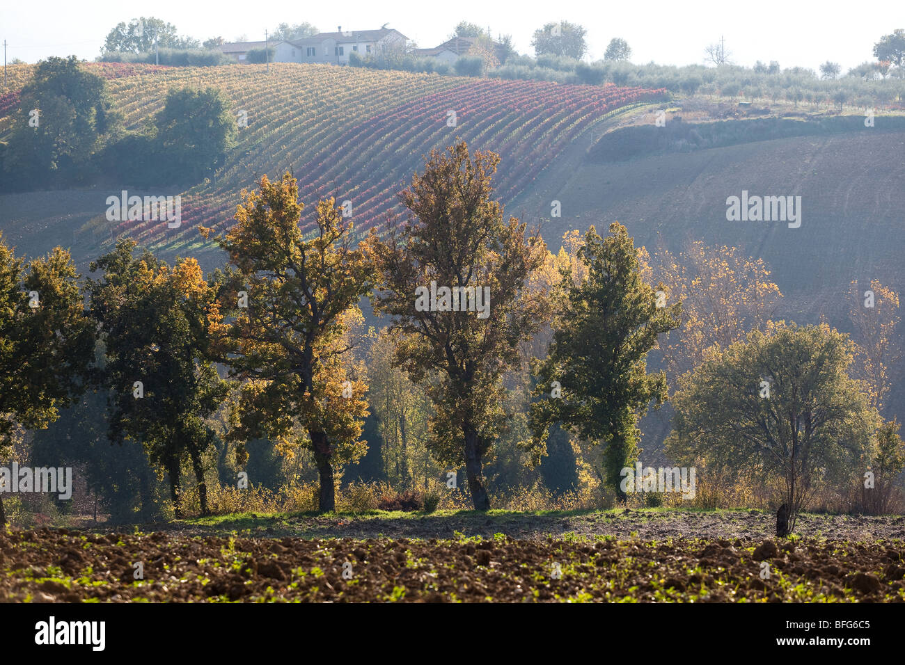 Umbria landscape hi-res stock photography and images - Alamy