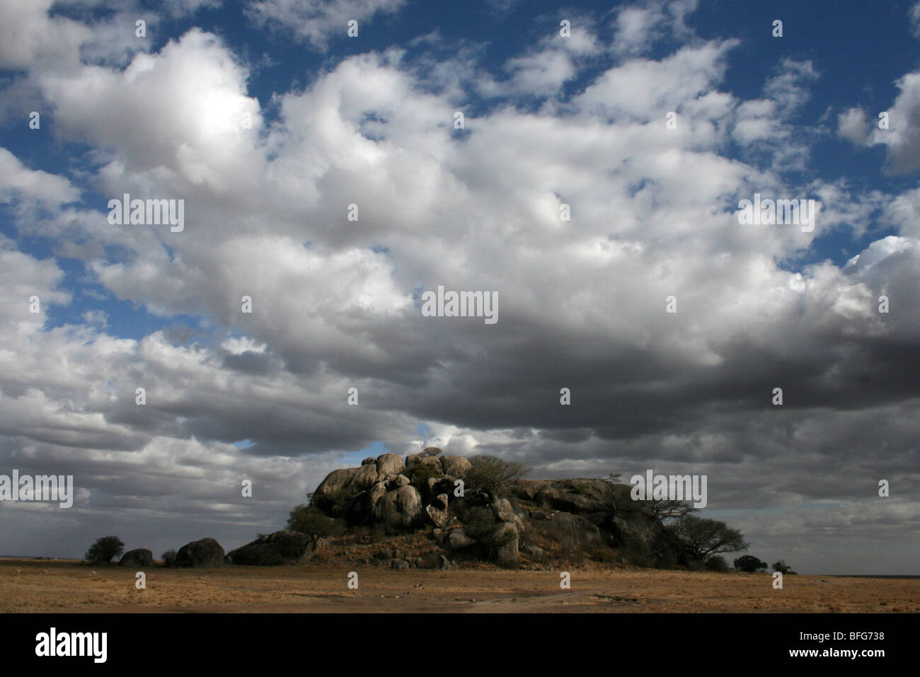 Kopje rocks in serengeti hi-res stock photography and images - Alamy