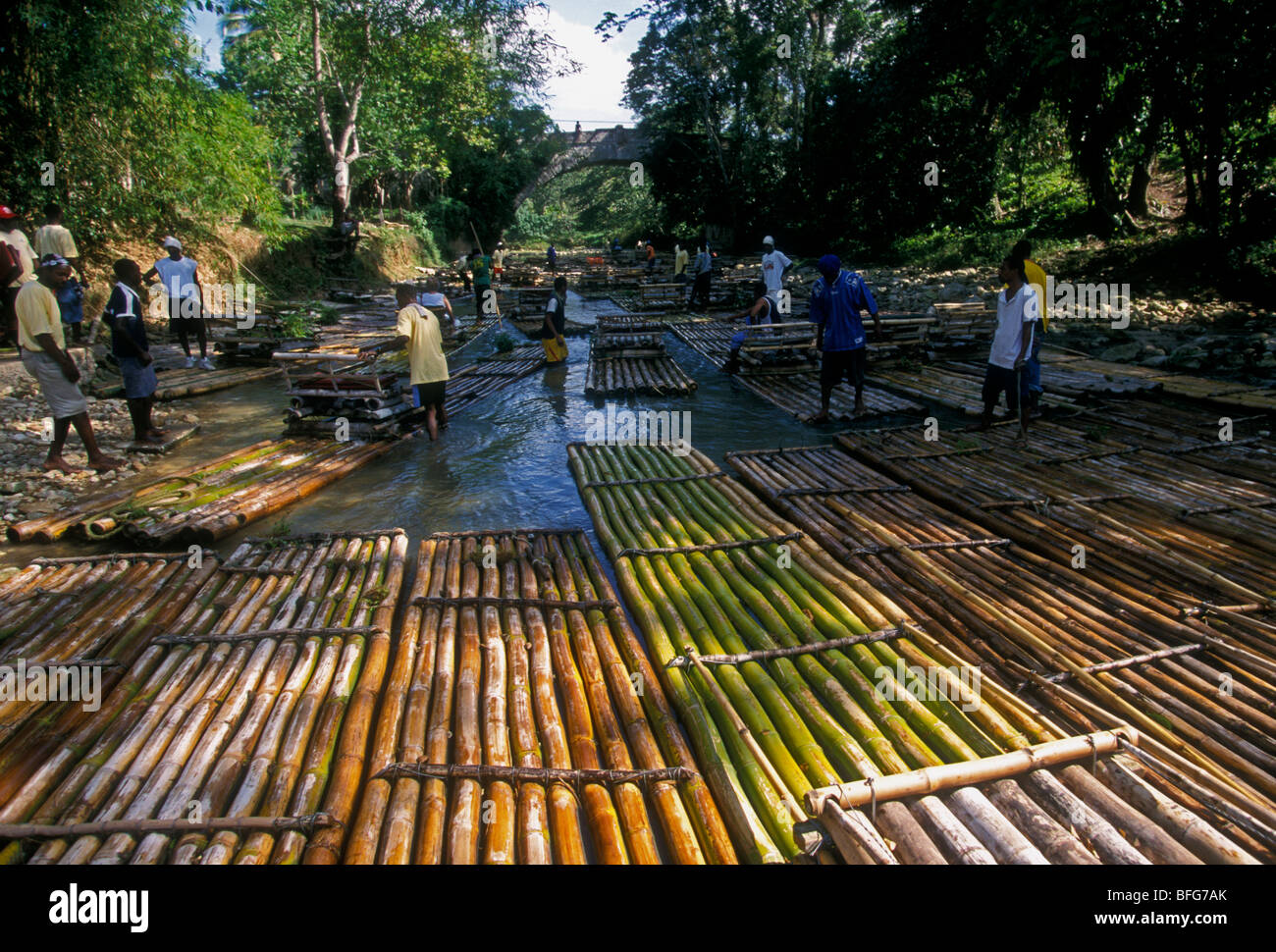 Jamaican men, adult men, tour guides, bamboo rafts, bamboo raft trip ...