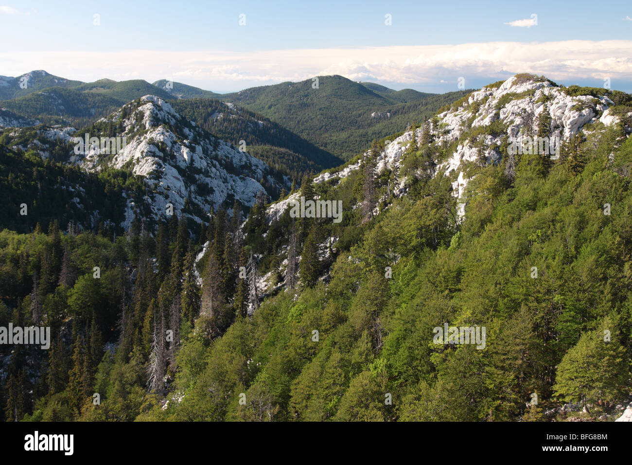 Sjeverni Velebit National Park Stock Photo - Alamy