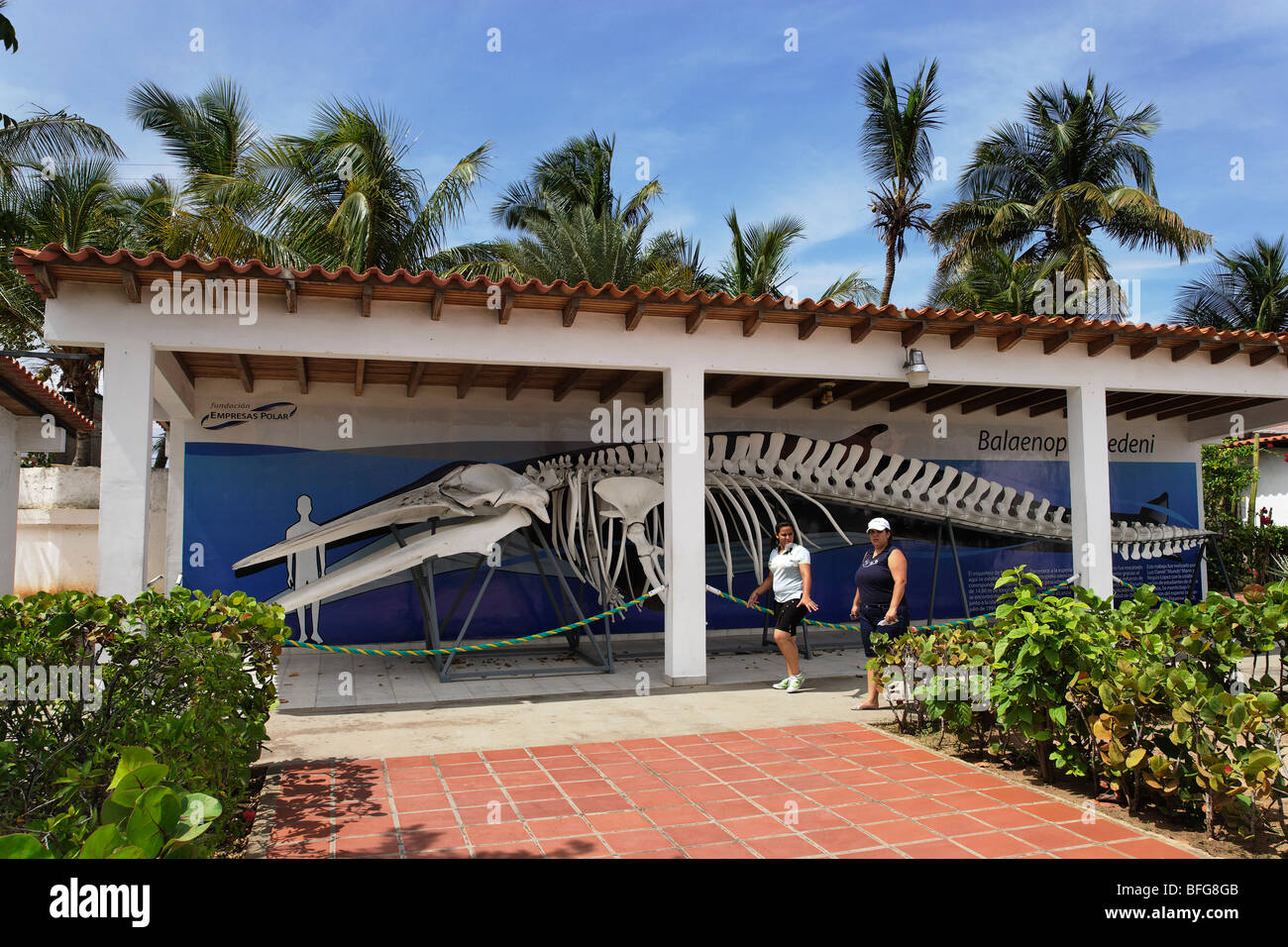 Boca del rio hi-res stock photography and images - Alamy