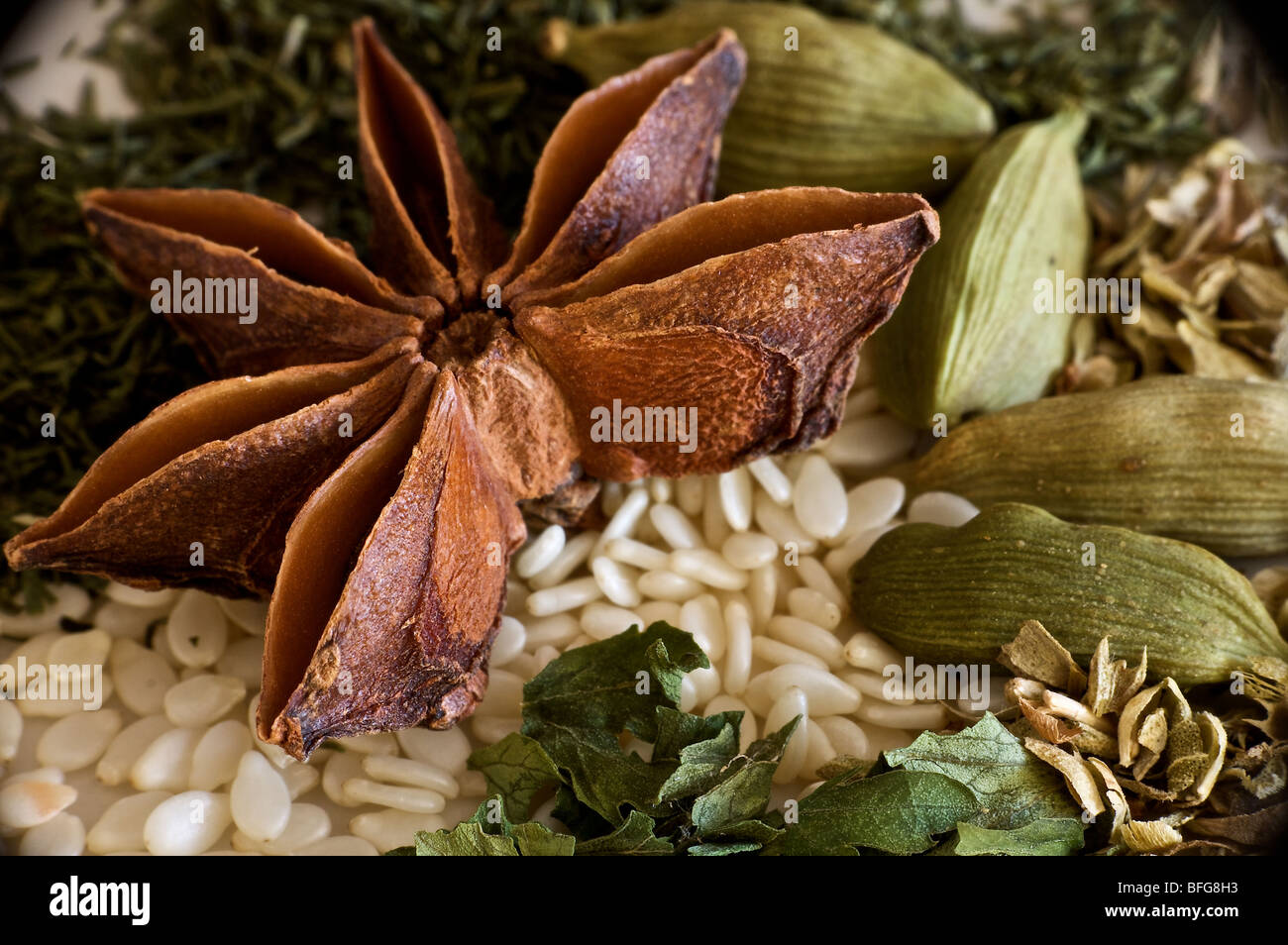 Variety is the Spice of Life, spices in macro Stock Photo - Alamy
