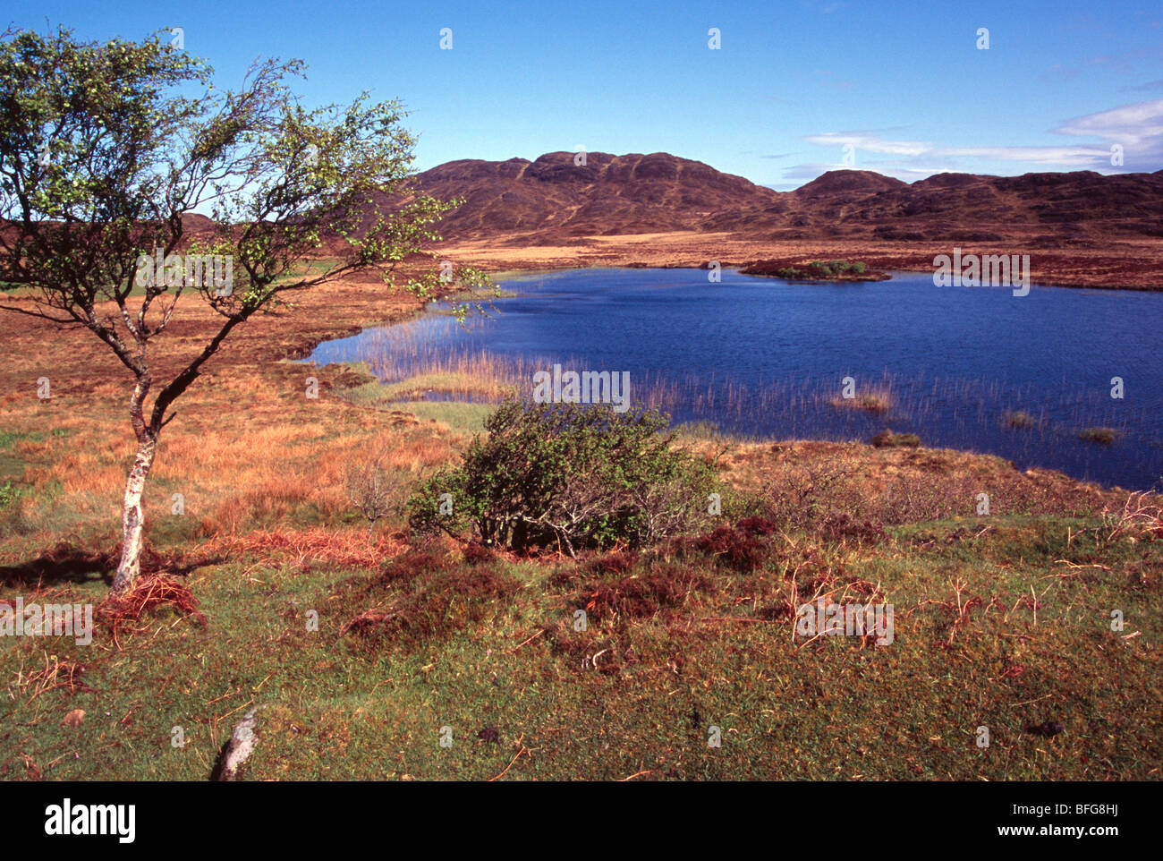 Ardnamurchan peninsula in Lochaber, Highland, Scotland Stock Photo - Alamy