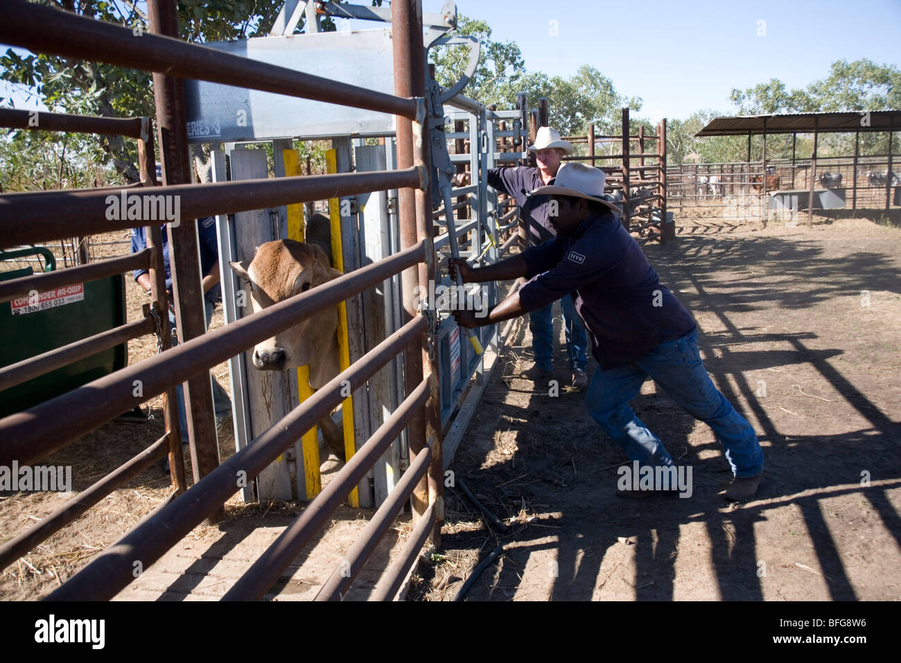 Aboriginal stockman outback australia hi-res stock photography and ...