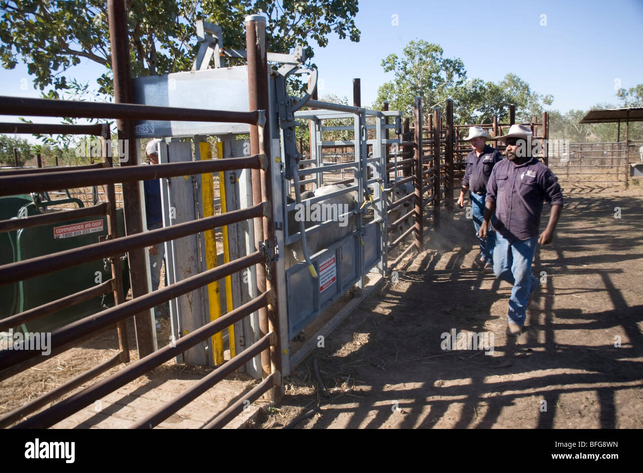 Aboriginal stockman australia hi-res stock photography and images - Alamy