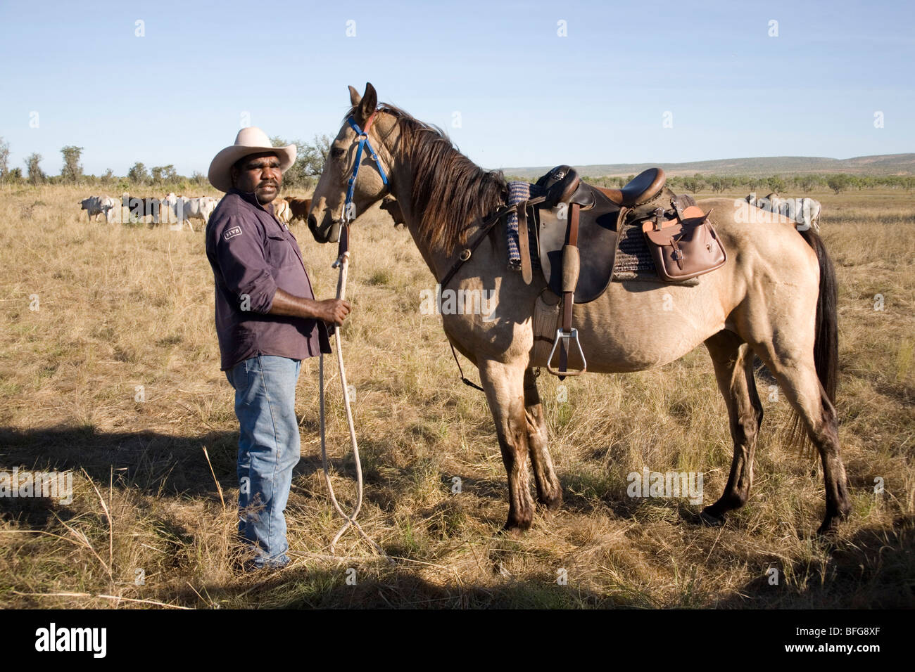 Home Valley Station Aboriginal stockman mustering on horseback in the ...