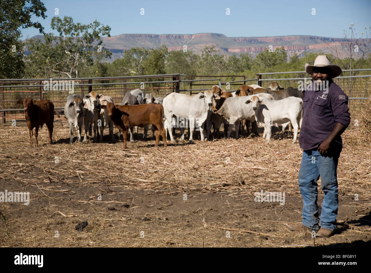 Aboriginal stockman outback australia hi-res stock photography and ...