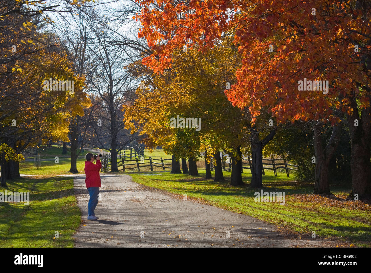 Knox farm east aurora hi-res stock photography and images - Alamy