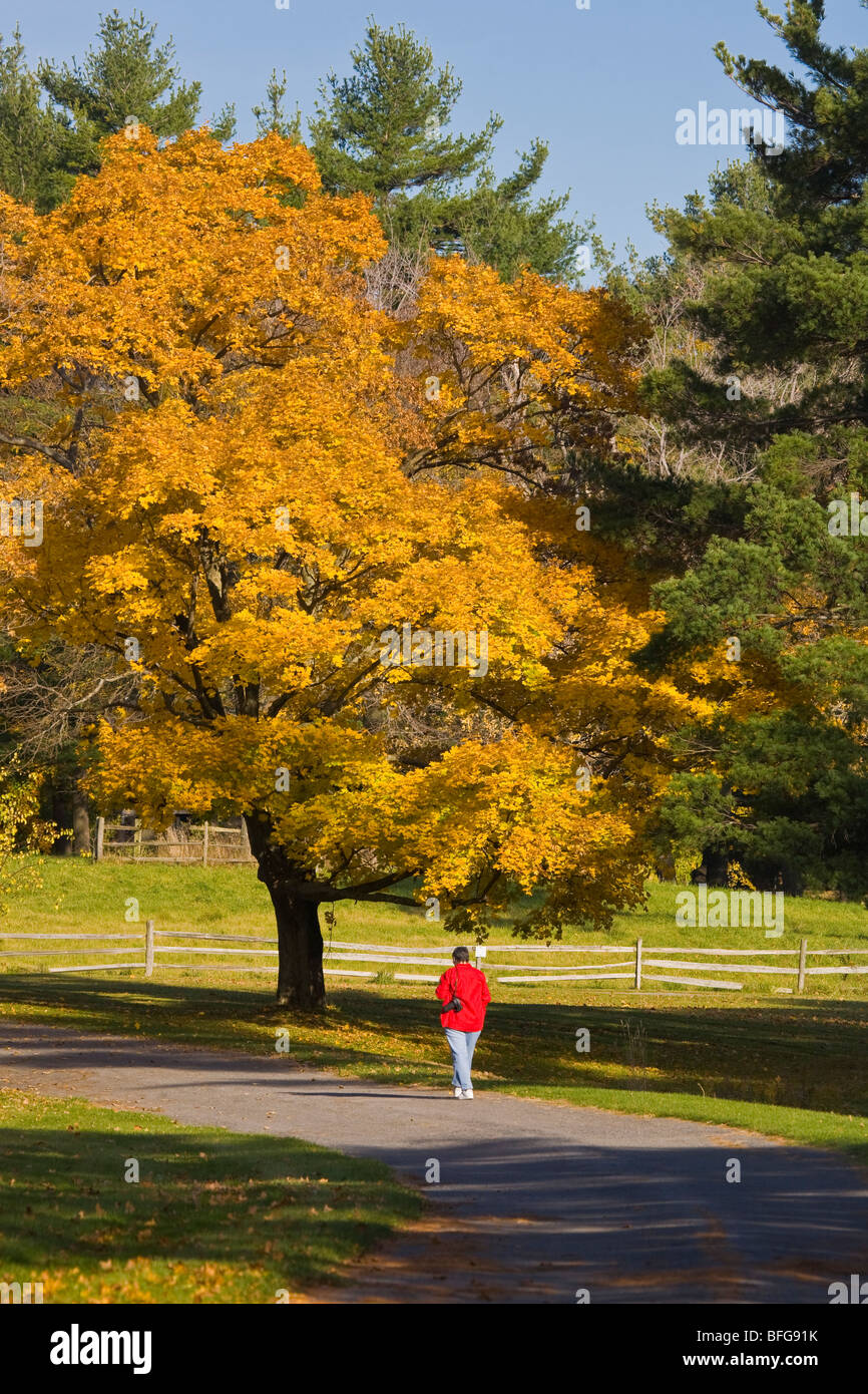 Knox farm state park hi-res stock photography and images - Alamy