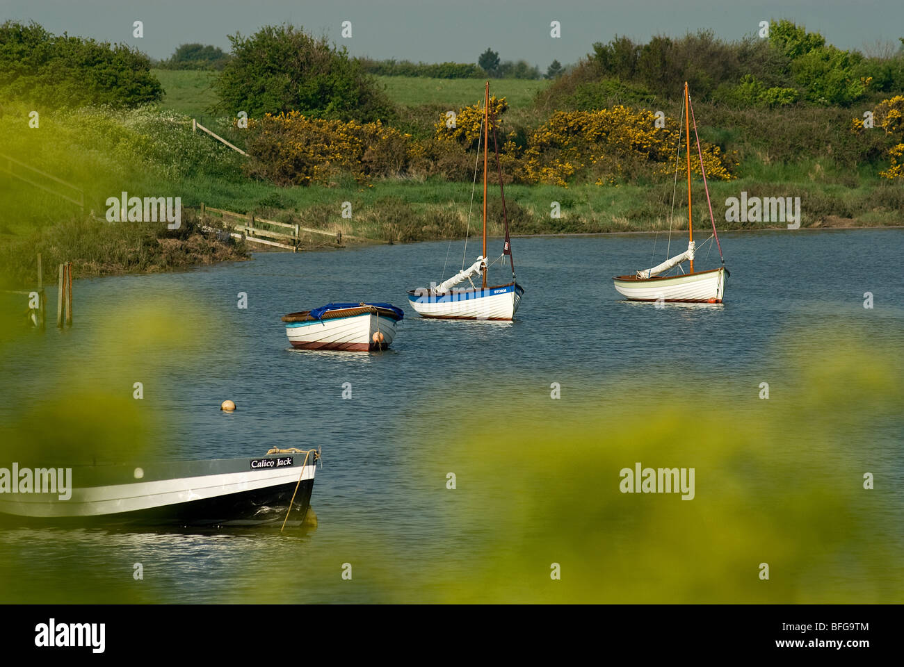 Stiffkey cockles hi-res stock photography and images - Alamy