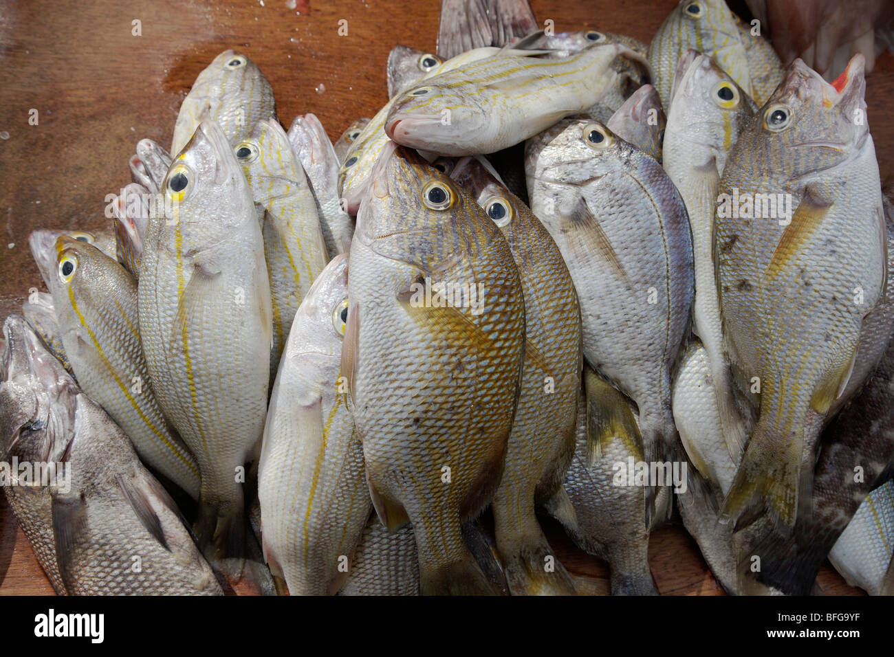Venezuelan islands hi-res stock photography and images - Alamy