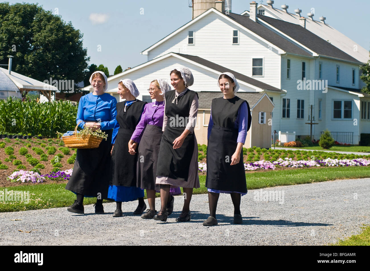 Young amish men hi-res stock photography and images - Alamy