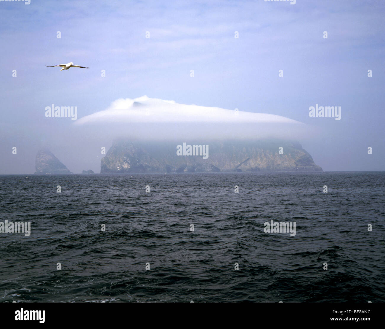 Boreray and Stac Lee St Kilda Outer Herbrides Scotland Stock Photo - Alamy