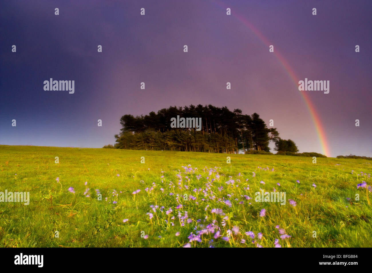 Rain hill hi-res stock photography and images - Alamy