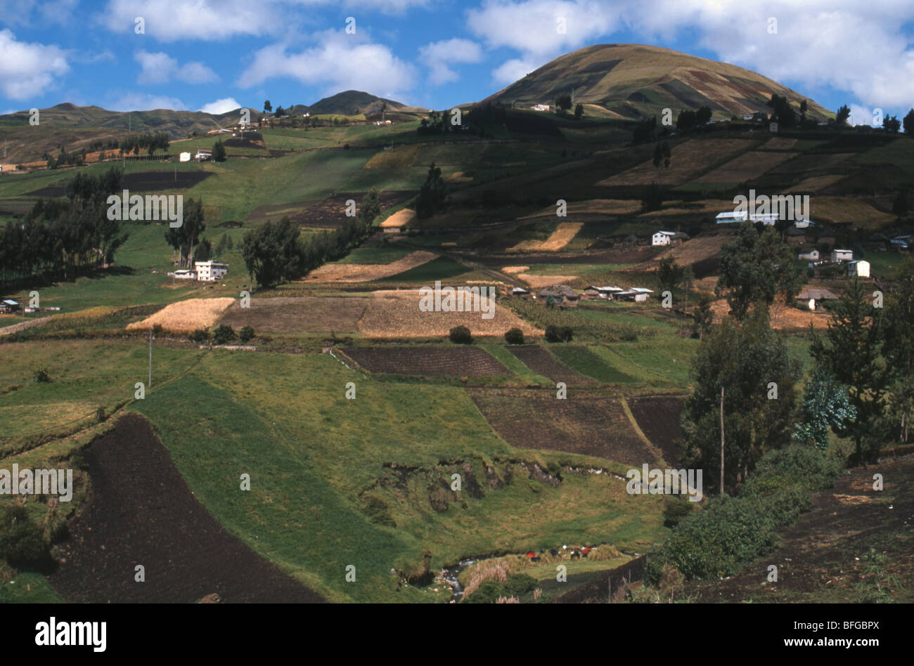 Patchwork crops of maize and other crops in the foothills of Chimborazo ...
