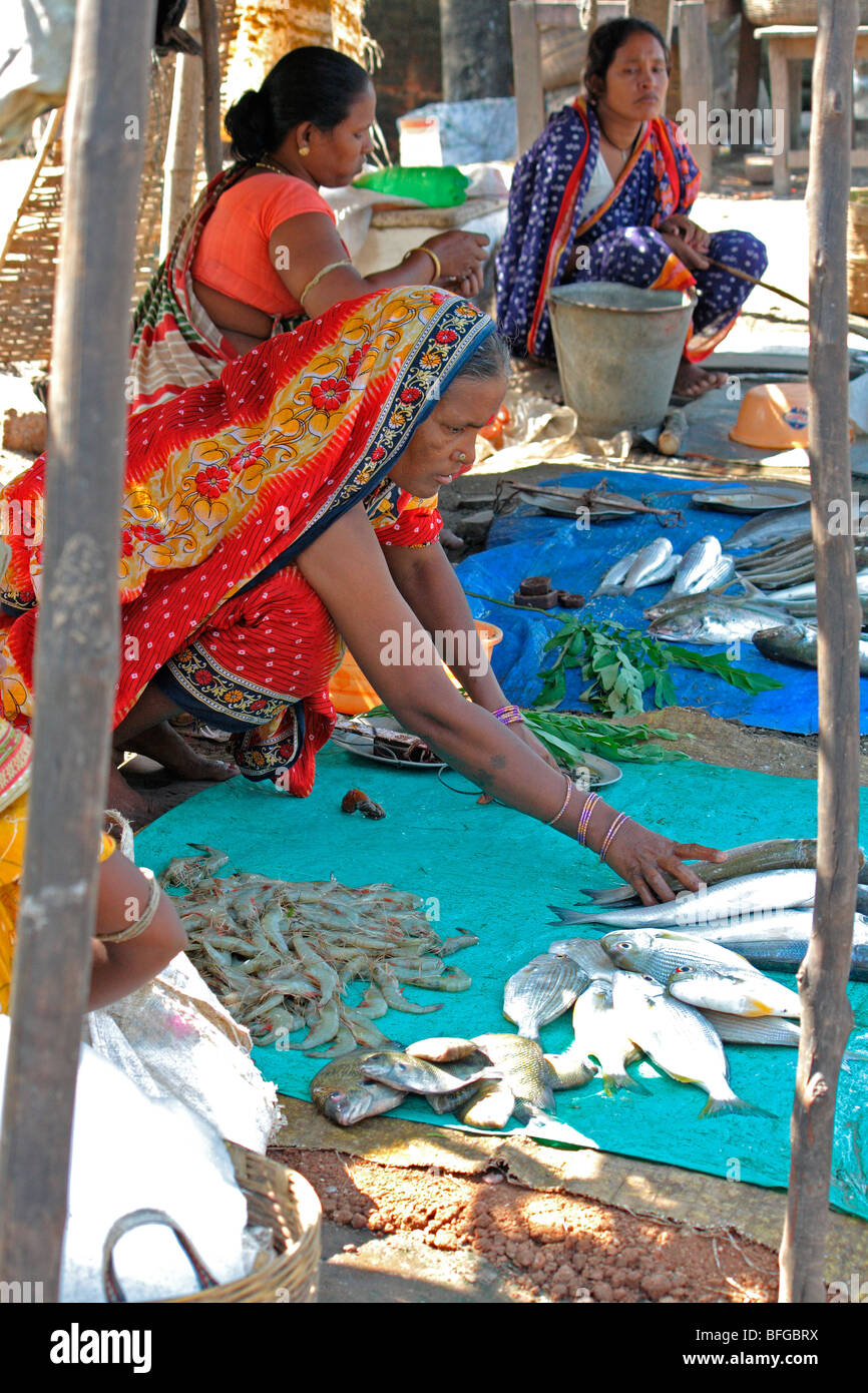 Barkul Fish market Stock Photo - Alamy