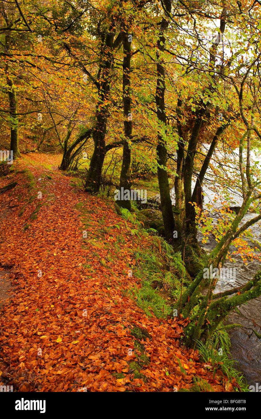 Slade lane hi-res stock photography and images - Alamy