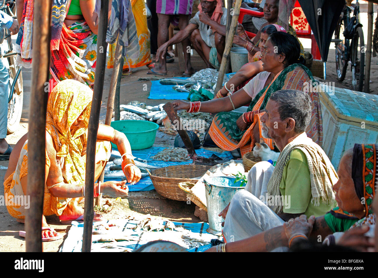 Barkul Fish market in Orissa Stock Photo - Alamy