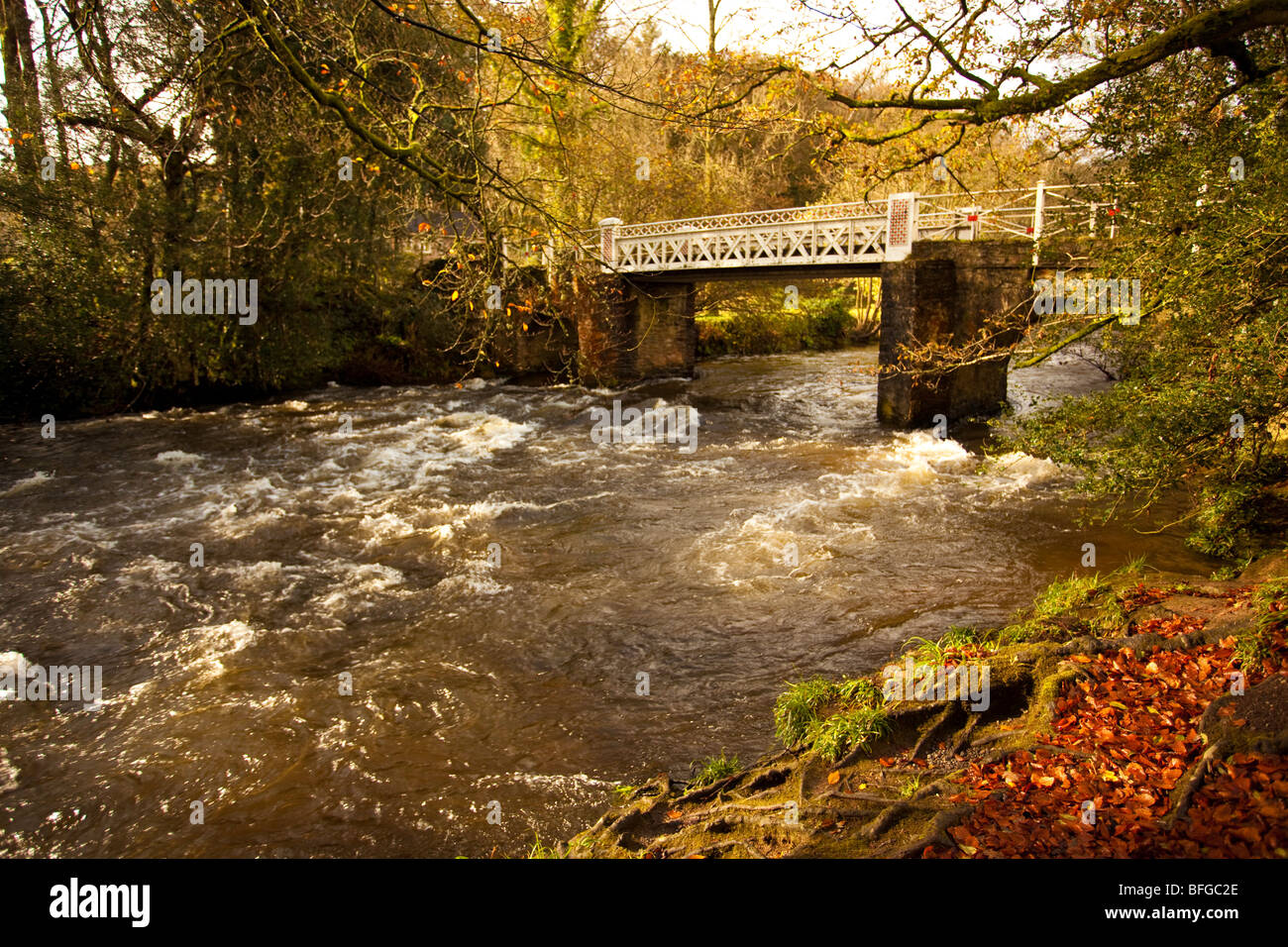 Marsh bridge hi-res stock photography and images - Alamy