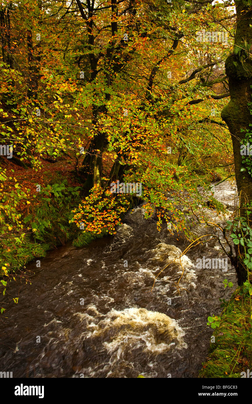 Slade lane hi-res stock photography and images - Alamy