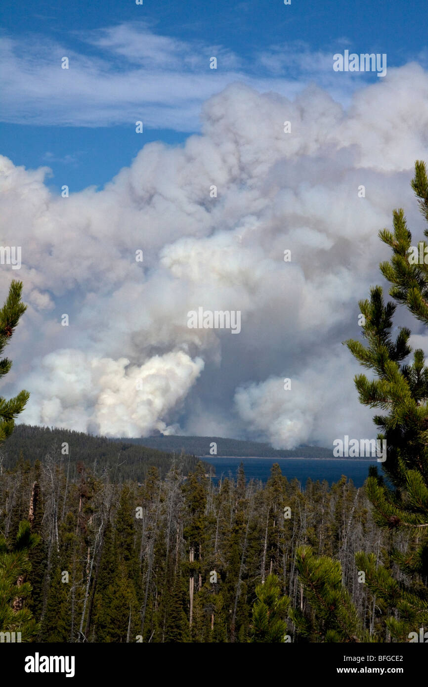Wildfire column hi-res stock photography and images - Alamy