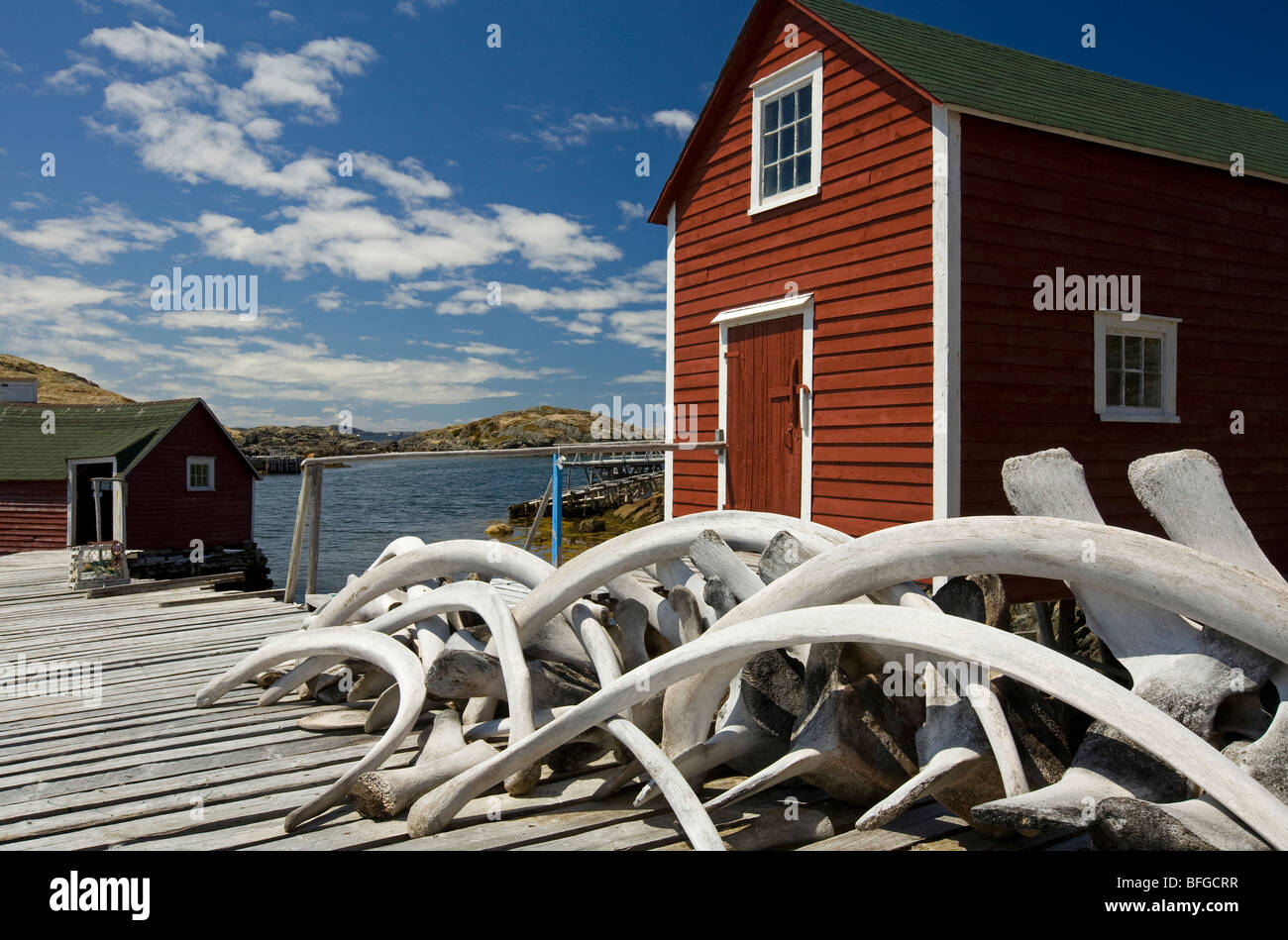 whale bones stacked on stage, Change Islands, Newfoundland & Labrador ...