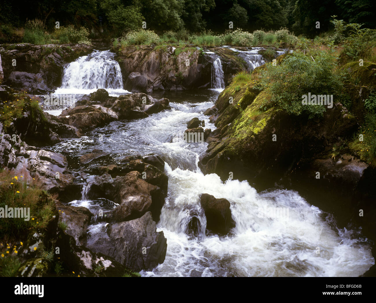 Cenarth waterfalls hi-res stock photography and images - Alamy
