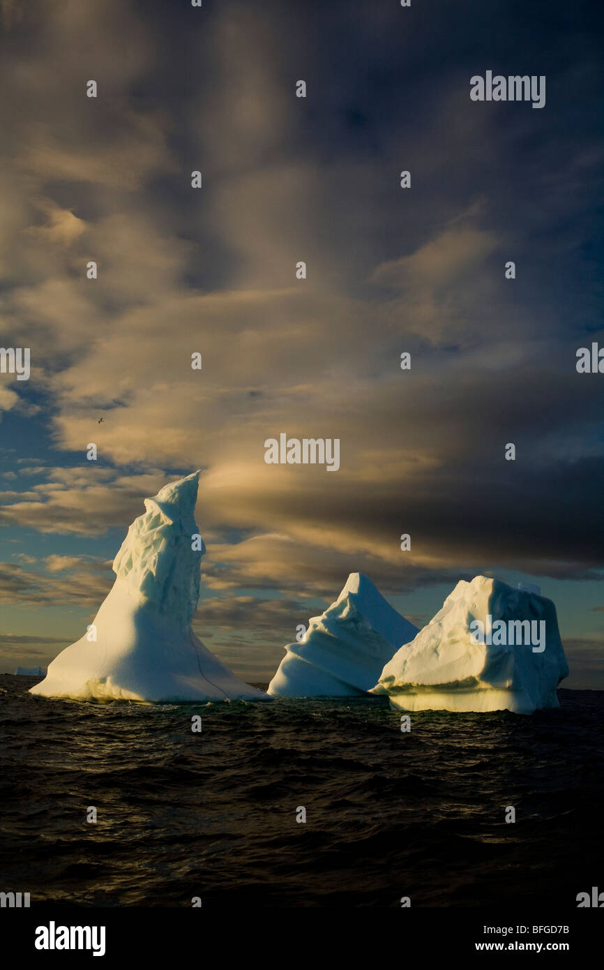 icebergs off the coast of Fogo Island, Newfoundland & Labrador, Canada ...