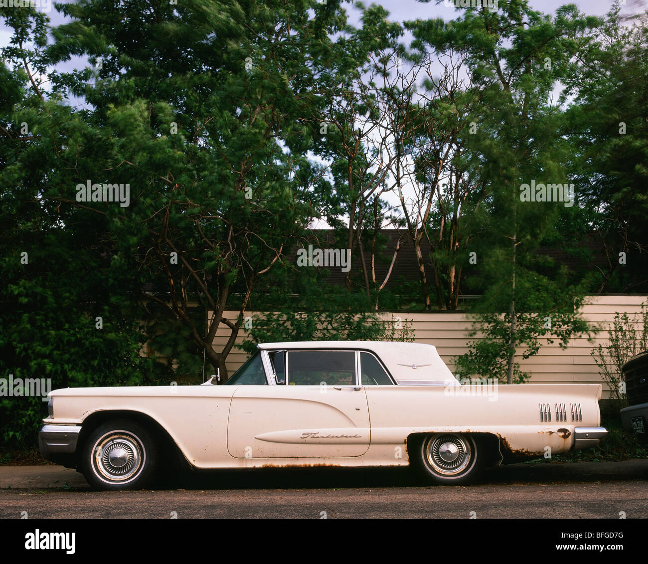 A slightly rusted cream colored vintage 1960 Ford Thunderbird parked on ...