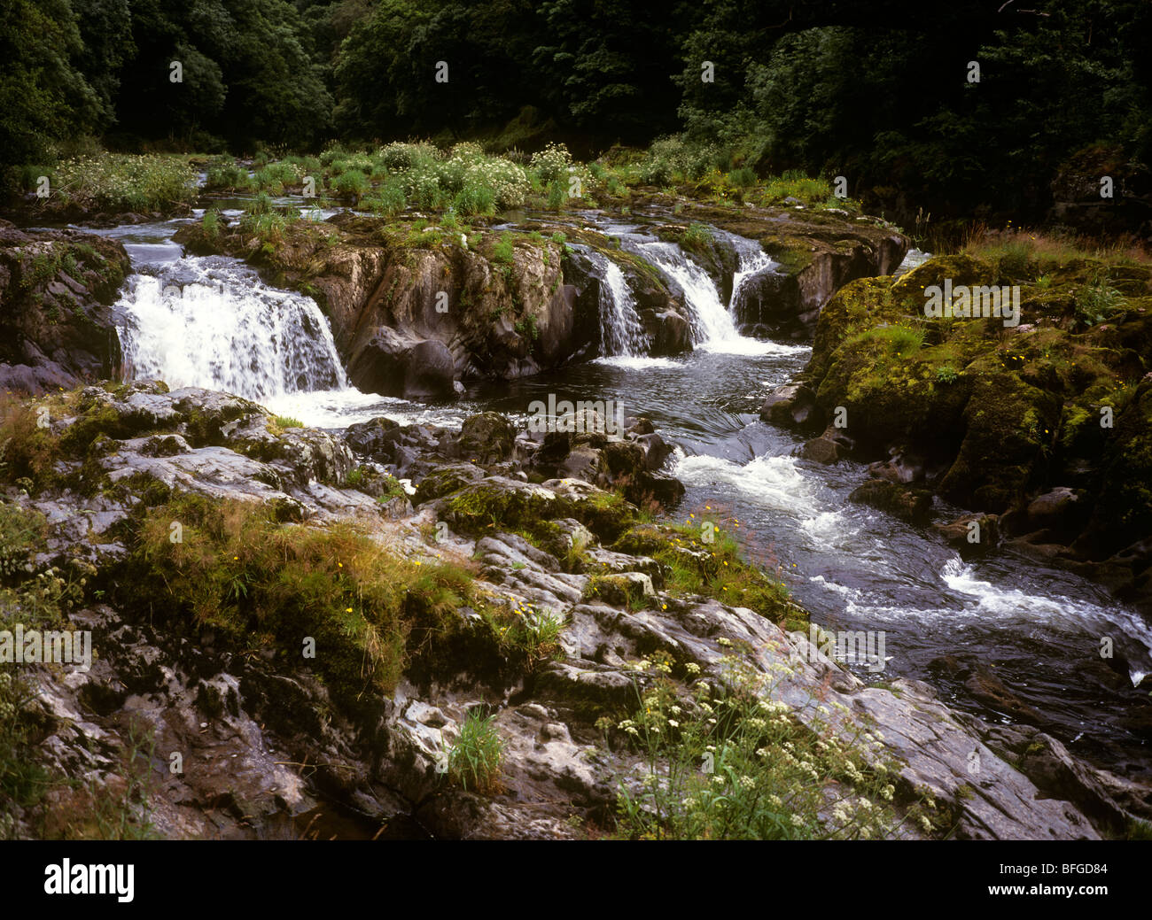 Cardiganshire landscape hi-res stock photography and images - Alamy
