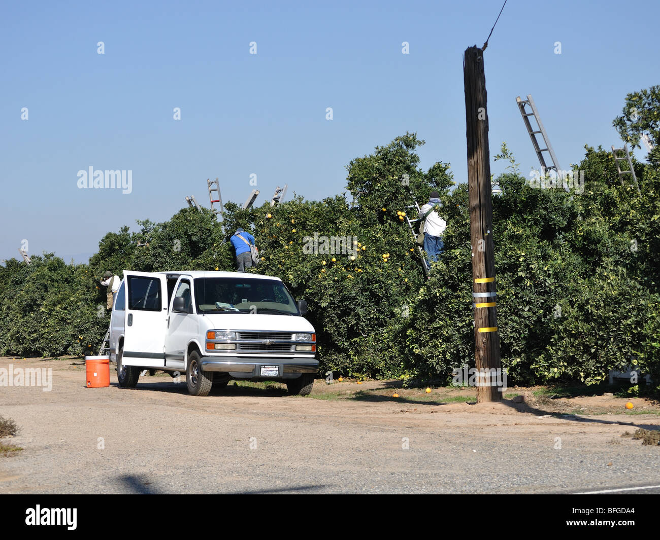 Oranges farm vehicle hi-res stock photography and images - Alamy