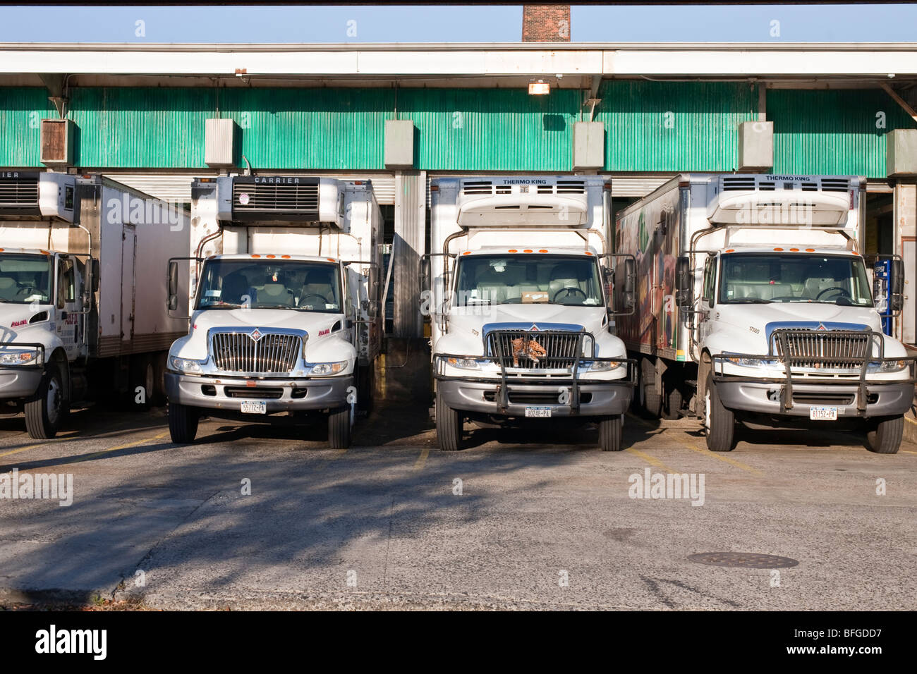 line of white refrigerated trucks parked at loading docks on a sunny ...